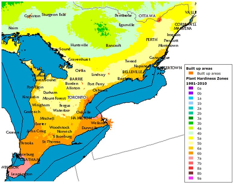 Plant Hardiness Zones – Garden Graces